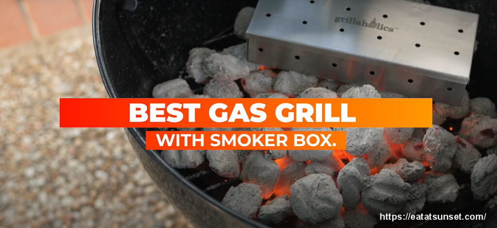 8 Best Smoker Boxes For Gas Grills In 2024: Which Should You Buy